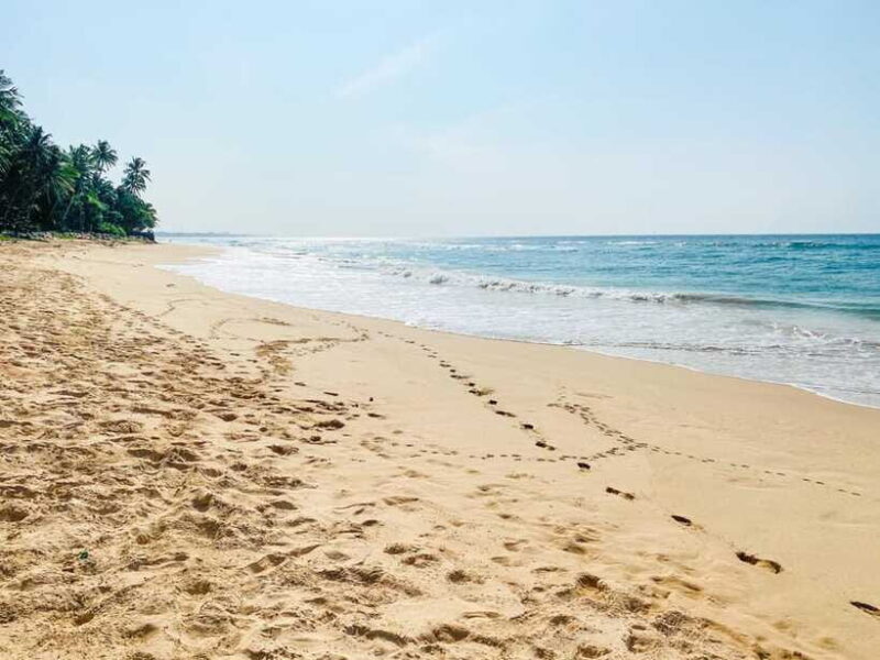 Sri Lanka: History ,Wildlife, Beaches, 7 Days Private Tour - Who Will Love This Tour?
