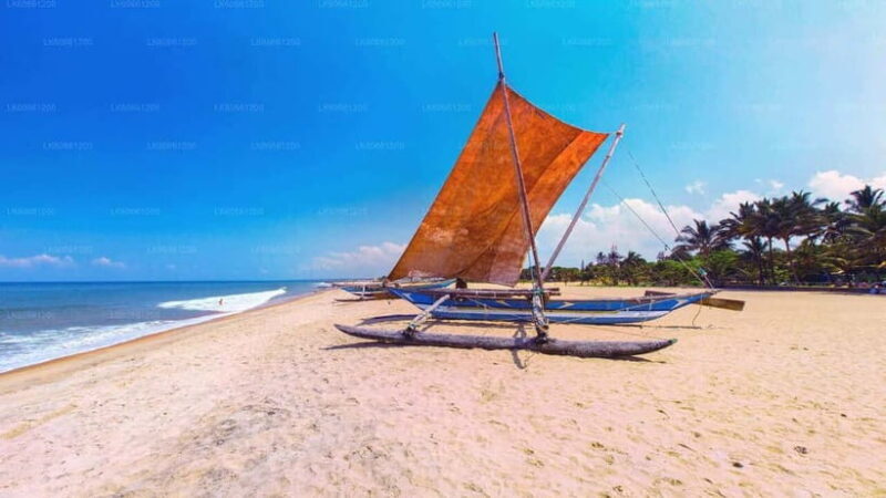 Sri Lanka in 10 Days: Heritage, Hills & Coast - A Well-Structured, Culturally Rich Journey