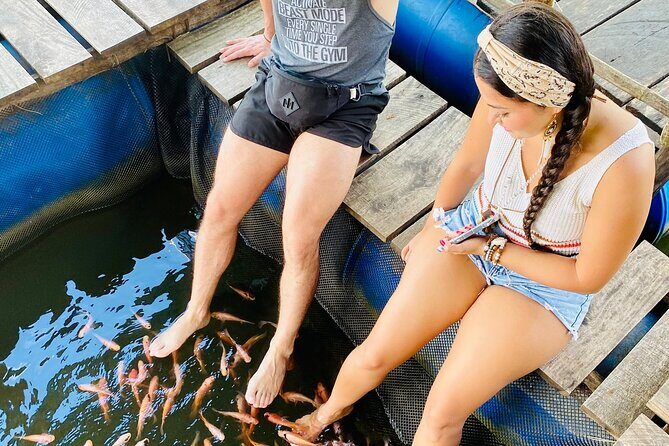 Sri Lanka in 12 days - Key Points