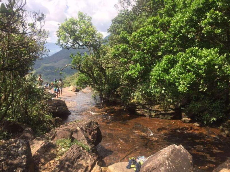 Sri Lanka jungle tour 4 days-rainforests, national parks... - Discover the Heart of Sri Lanka with a 4-Day Jungle and Wildlife Tour