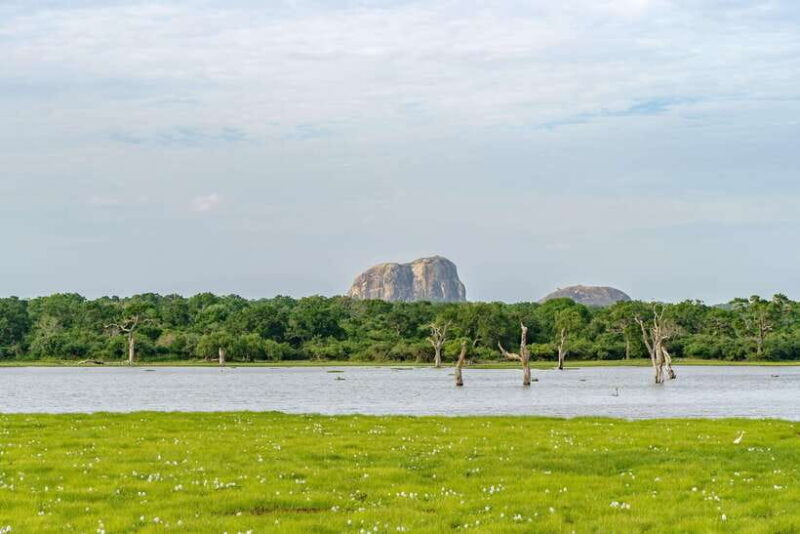 Sri Lanka jungle tour 4 days-rainforests, national parks... - Practical Tips for Future Travelers