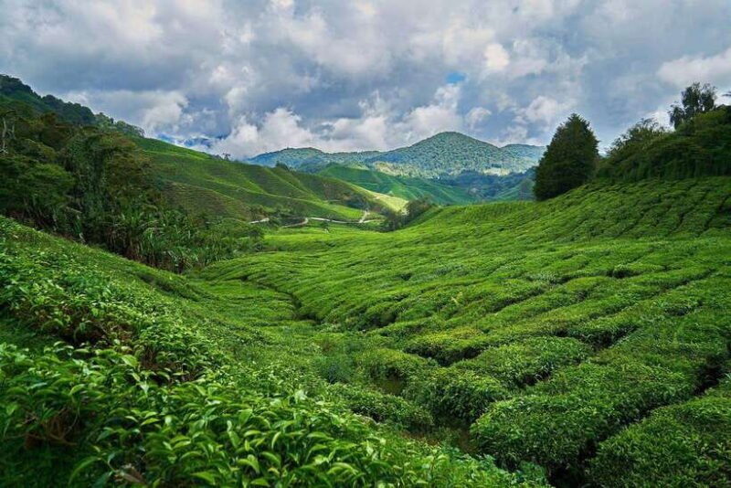 Sri Lanka, Kandy: Hill Country 3-Day Private Tour - Introduction: An Authentic Look at Sri Lanka’s Hill Country