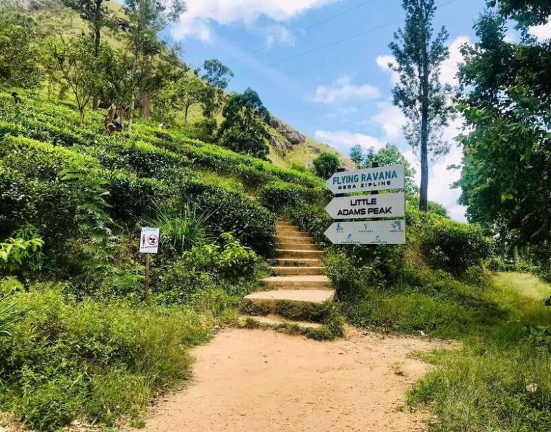 Sri Lanka, Kandy: Hill Country 3-Day Private Tour - Transportation & Logistics: Comfort and Convenience