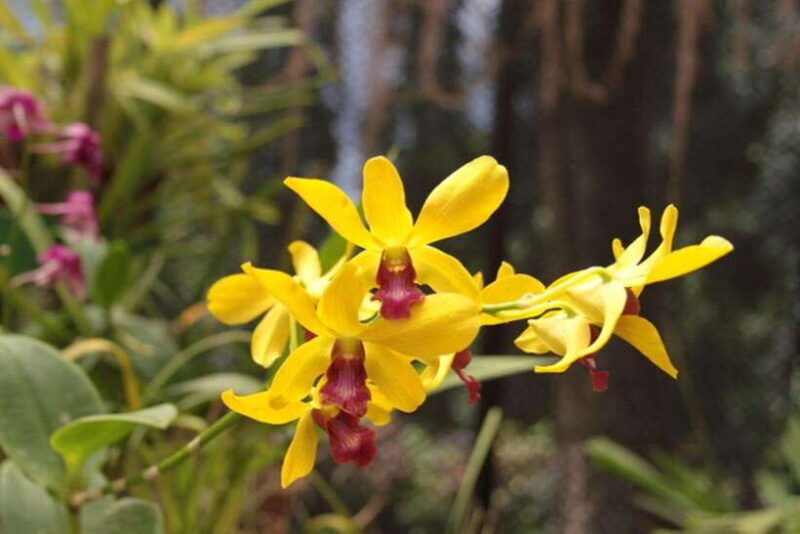 Sri Lanka: Kingdoms, Hill Stations, Beaches and Wildlife - Frequently Asked Questions