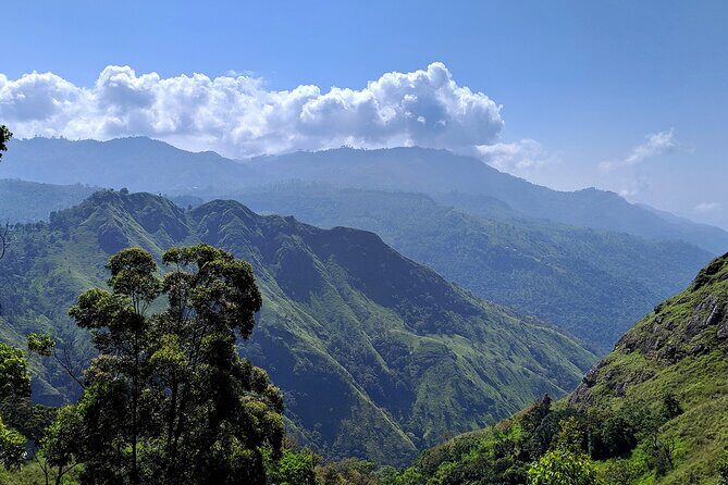 Sri Lanka Multi Day tour Car Rent by English Driver-Guide - What to Expect from This Tour