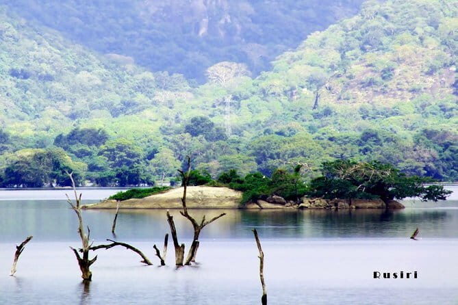 Sri Lanka Nature, Culture and Wild tour - Deep Dive: Why Travelers Rave About This Tour