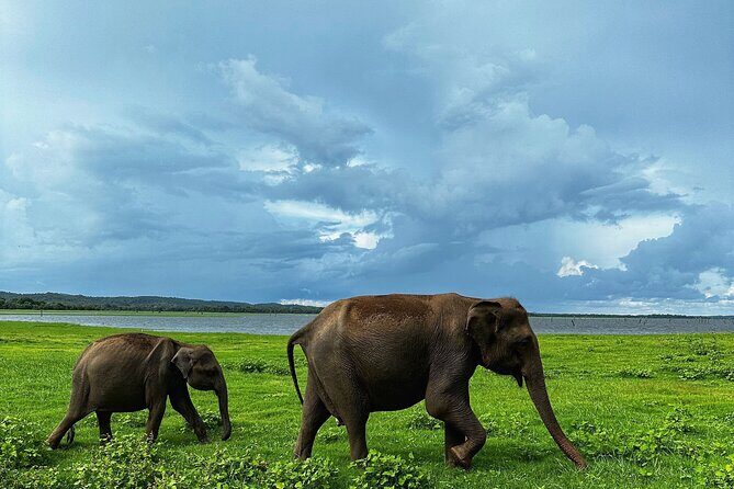 Sri Lanka Personal Tour Driver in private vehicle - Why Consider a Private Driver for Your Sri Lanka Trip?