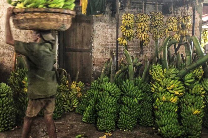 Sri Lanka Personal Tour Driver in private vehicle - Authentic Traveler Feedback