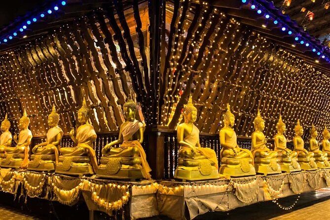 Sri Lanka Personal Tour with Car Driver - Who Should Book This Tour?