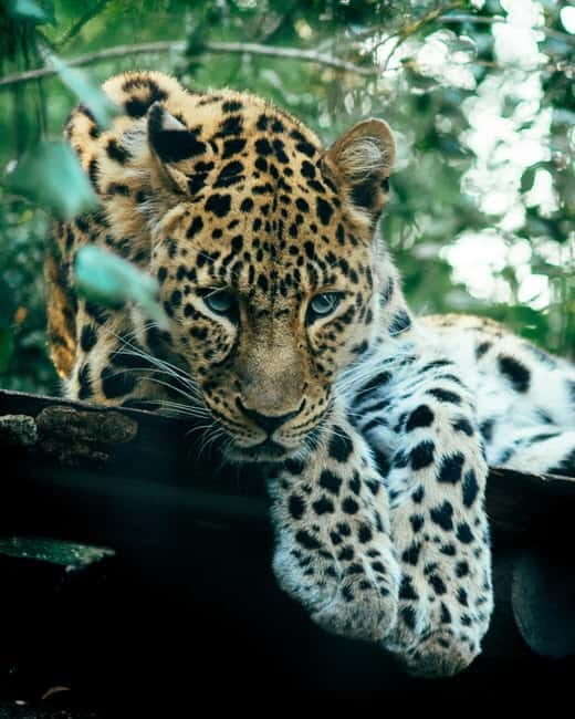 Sri Lanka Private 10-Day Round Tour Car, Guide, Hotels, Food - What to Expect from the Tour