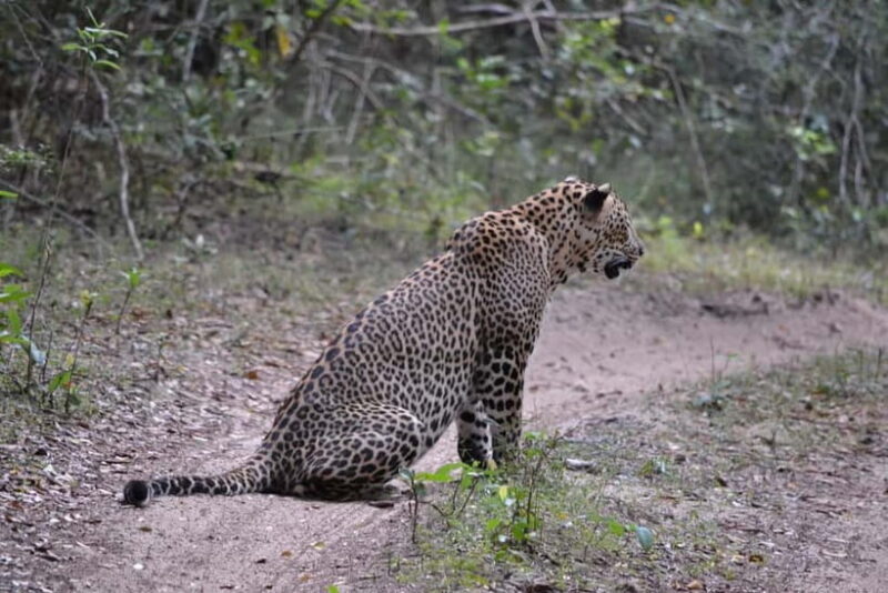 Sri Lanka Private 10-Day Round Tour Car, Guide, Hotels, Food - FAQs