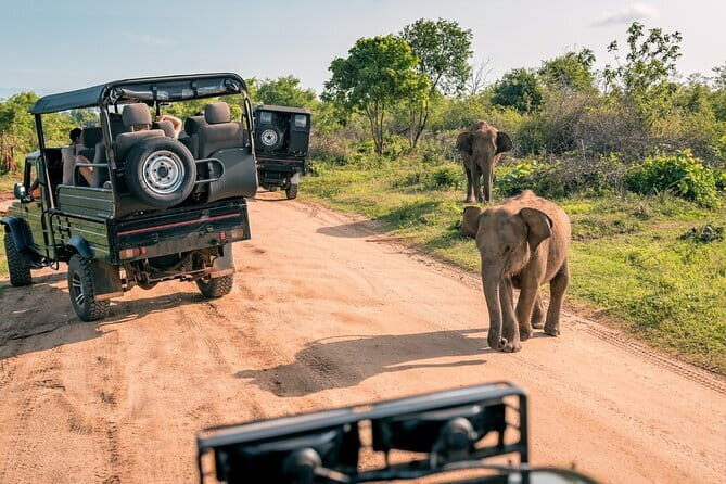 Sri Lanka Private Holiday Round Tour with Driver & Vehicle - Introducing Our Review of the Sri Lanka Private Holiday Round Tour