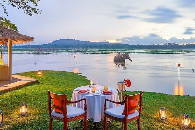 Sri Lanka Private Holiday Round Tour with Driver & Vehicle - The Value of This Tour