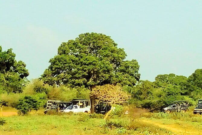 Sri Lanka Private Koggala Lake and Temple Tour - The Sum Up