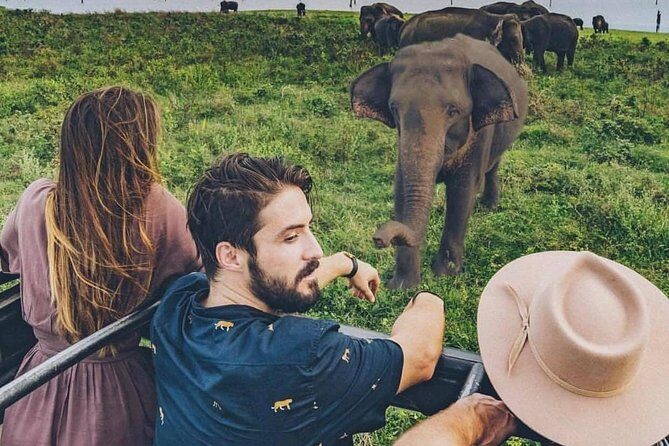 Sri Lanka private tour package 9 night 10 Day with driver+vehicle+accommodations - Day 6: Garden Serenity & Tea Country