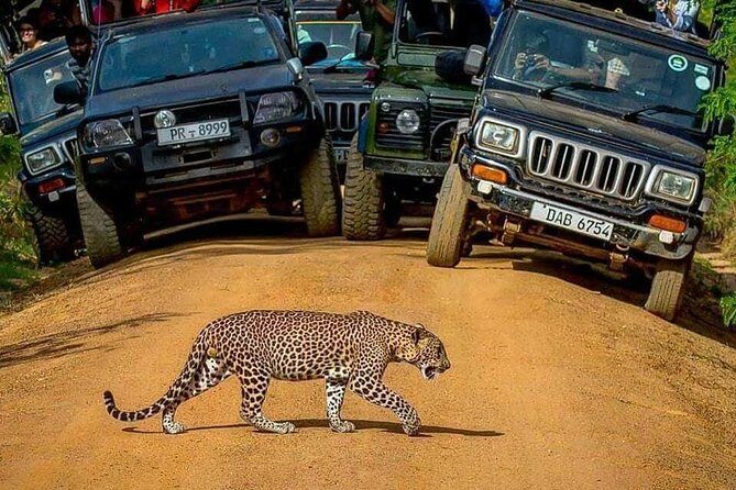 Sri Lanka private tour package 9 night 10 Day with driver+vehicle+accommodations - Day 10: Farewell & Departure