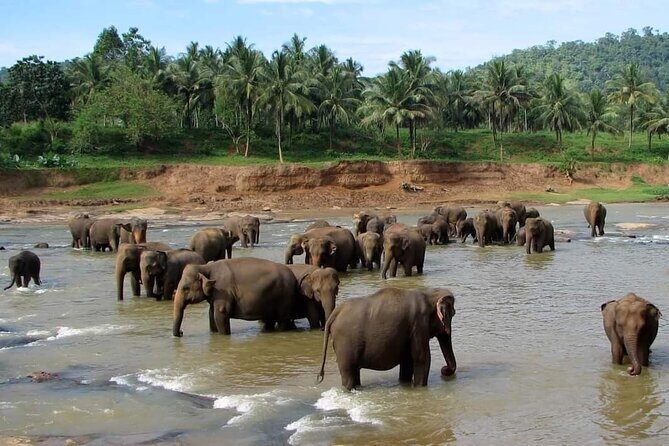 Sri Lanka Private Tour with Driver  Flexible Dates & Itinerary - Key Points