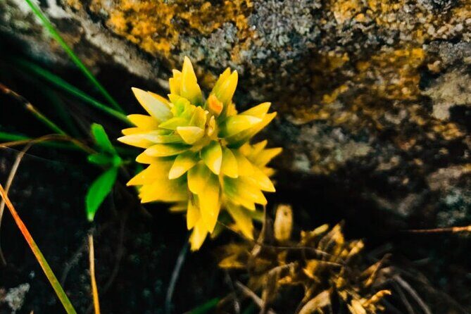 Sri Lanka Privet Tour/7 days Chauffeur, Vehicle, Accommodations + Customizable - Frequently Asked Questions