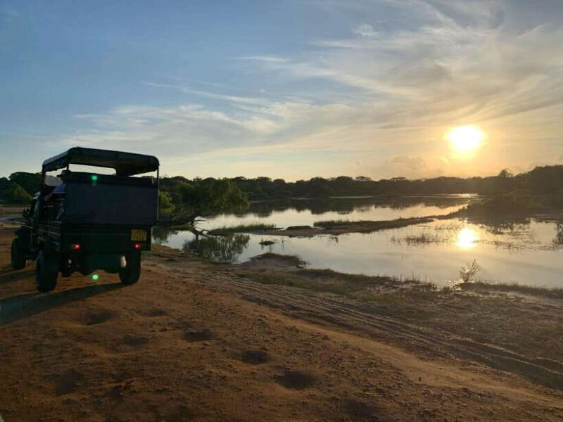 Sri Lanka: Sigiriya, Dambulla, and Minneriya Private Tour - Summary: Is it Worth It?