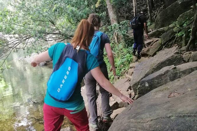 Sri Lanka Sinharaja Rain Forest Tour with Transport - Transportation & Practicalities