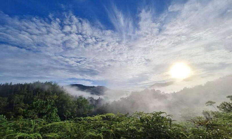 Sri Lanka : Sinharaja Rainforest Guided Trek with Pickup - Who Will Love This Tour?