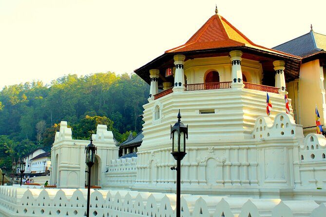 Sri Lanka tour 8 Days with a private driver, hotels, and vehicle - A Closer Look at the 8-Day Itinerary