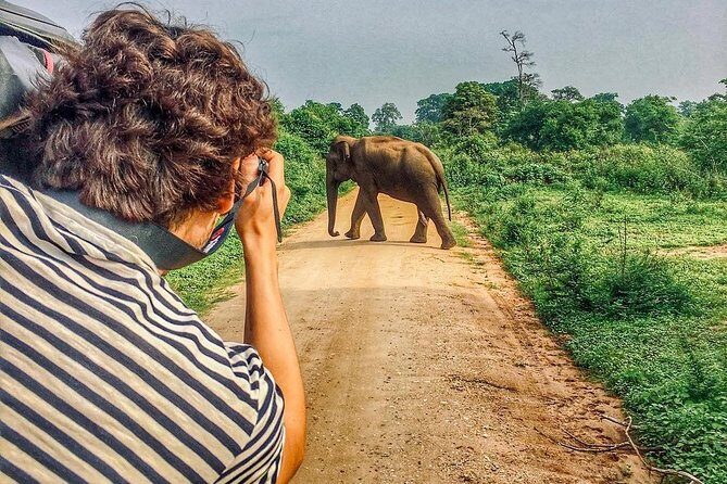 Sri Lanka tour itinerary . 6N/7D with driver, vehicle and H/B accommodations - What Does the Tour Cost and Is It Good Value?