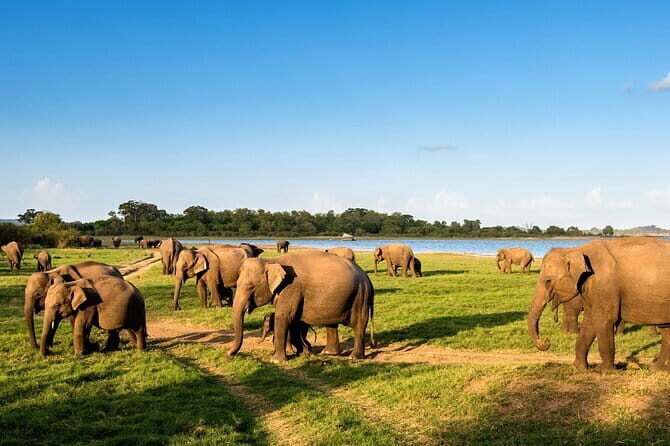 Sri Lanka Tour to 3 days Kandy, Nuwara Eliya & Sigiriya from Colombo - FAQs