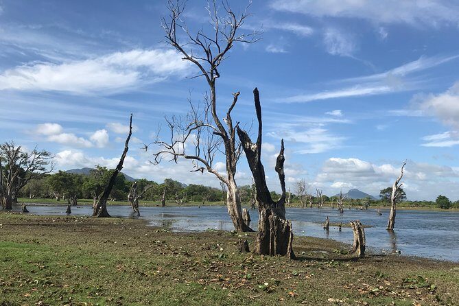 Sri Lanka tours 12-Day wildlife Tour with driver,Car or Van and accommodations - Final Thoughts: Is This the Right Tour for You?