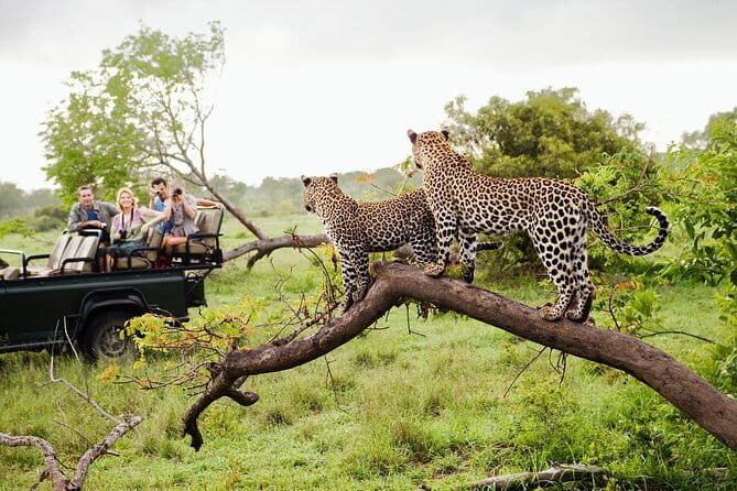 sri lanka trave triangle!! Bentota Day execution - Who Is This Tour Best For?
