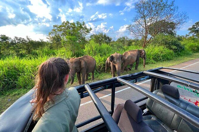 Sri Lanka Travel in 08 Nights 09 Days - The Itinerary in Detail: What You’ll Experience Day By Day