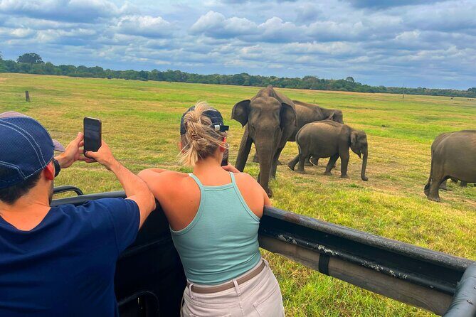 Sri Lanka Travel in 08 Nights 09 Days - Who Will Love This Tour?