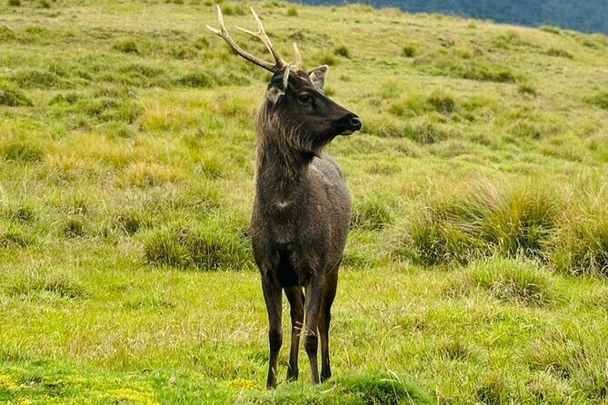 Sri Lanka Unveiled: 12 Nights Complete Experience Package - A Day-by-Day Breakdown: What Youll Experience