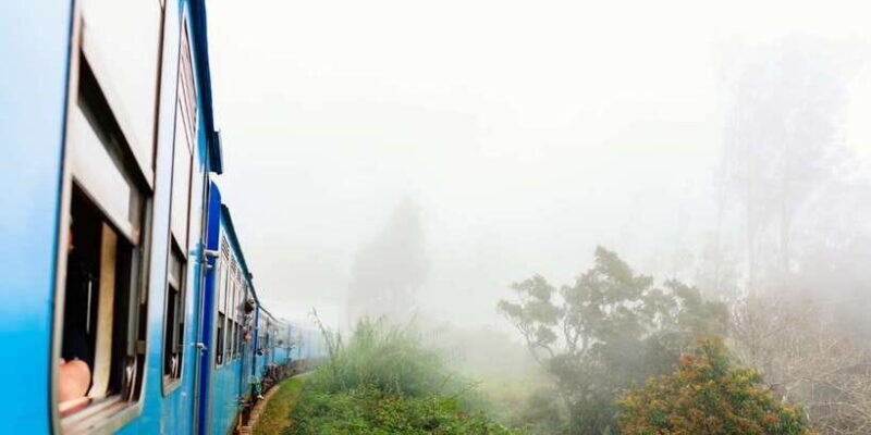 Sri Lanka: Wildlife Wonders Of Sri Lanka Private 5-day Tour - Day 4: Scenic Train Ride and Horton Plains