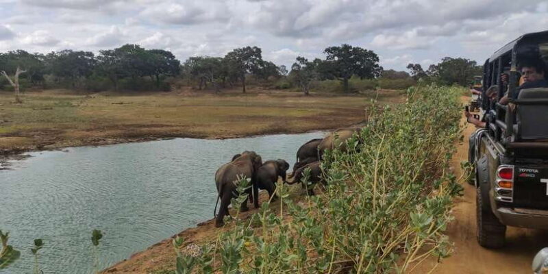 Sri Lanka: Yala National Park Private Safari - Discover the Wild Side of Sri Lanka with a Private Yala Safari