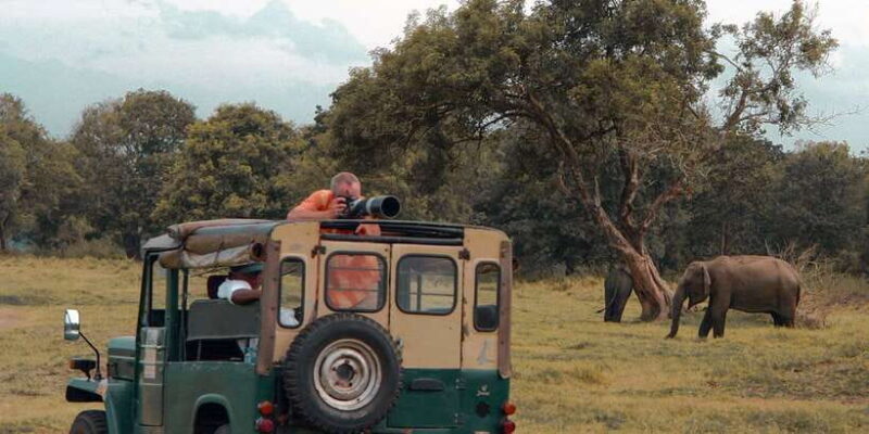 Sri Lanka: Yala National Park Private Safari - Who Is This Safari Best For?