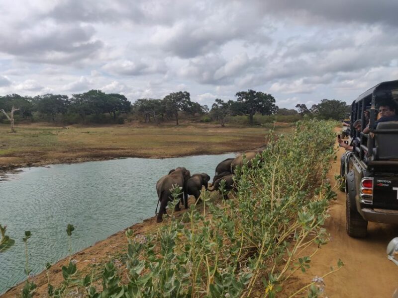 Sri Lanka: Yala National Park Private Safari - FAQ