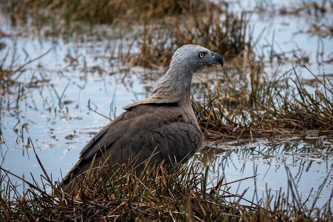 Sri Lanka Yala Wildlife Safari Tours - Final Thoughts
