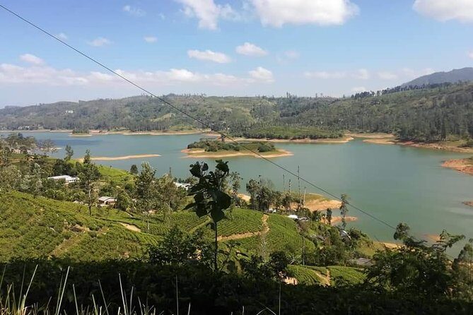 Sri Lankan Tourist Driver with great local )knowledge all over the country! - A Deep Dive into the Experience
