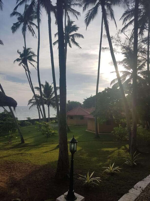 Sri Lanka's highlights: 12-day tour with temples, tea plantations and nature - Key Points