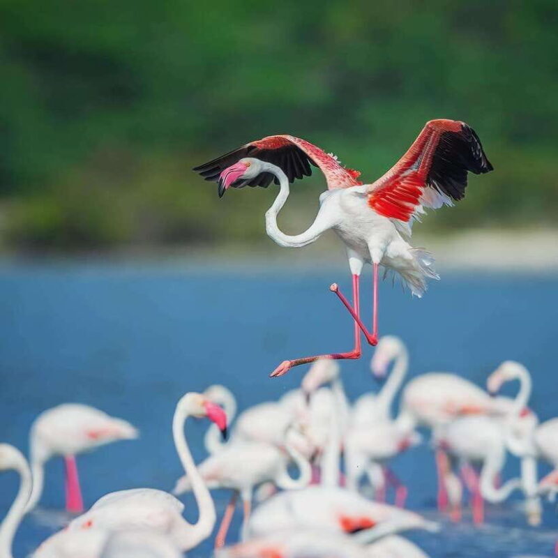 Srilanka : 4-Day Tour with Accommodation and Transport - Authentic Experiences and Travelers’ Insights