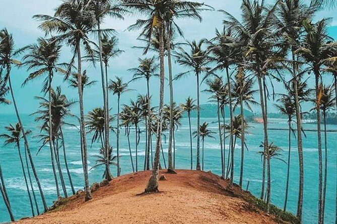 Srilanka 7 Days Classical Tour- Private Car (Can Customized) - A Deep Dive into the 7-Day Sri Lanka Tour