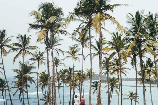Srilanka Tour Package 7 Nights 8 Days H/B Basis - Deep Dive into the Highlights