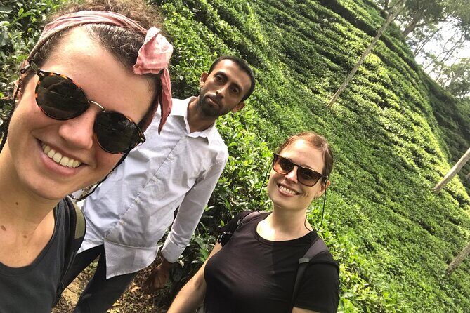 Srimangal nature tour in forest and tea garden - Transportation and Practicalities