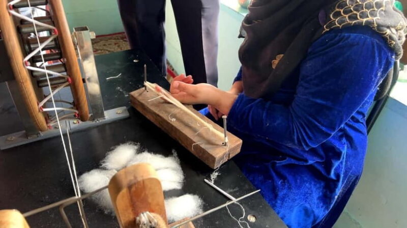 Srinagar: Cashmere Pashmina Craft Tour with Master Artisans - A Deep Dive into the Pashmina Craft Experience