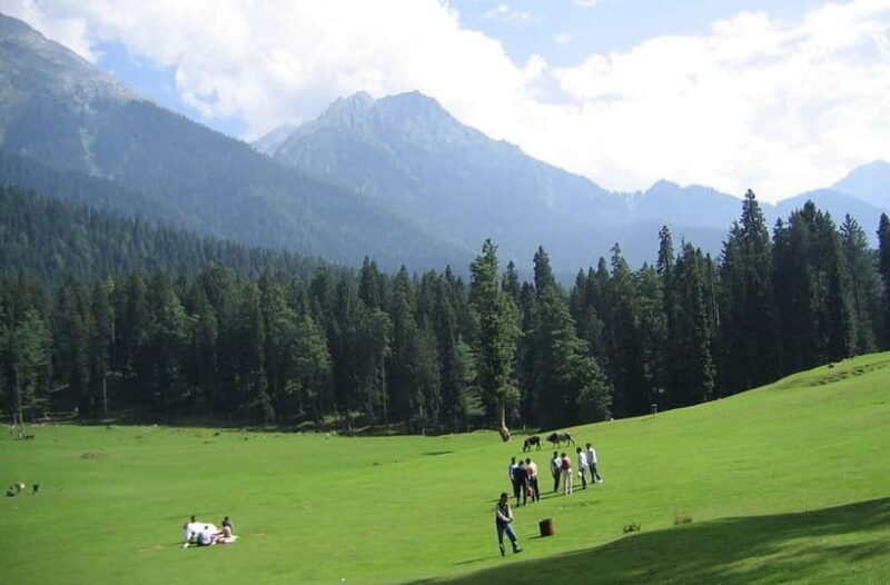 Srinagar: Doodhpathri Day Trip with Transfers - What to Expect During the Tour