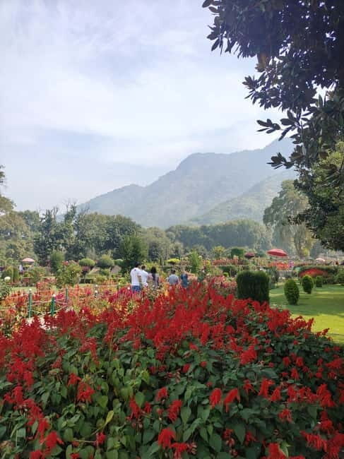 Srinagar: Private Old City and Mughal Gardens Guided Tour - Practical Details and Overall Value