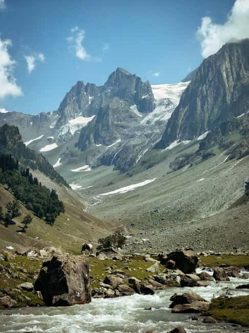 Srinagar: Sonamarg Day Tour - The Golden Meadow Adventure - FAQ