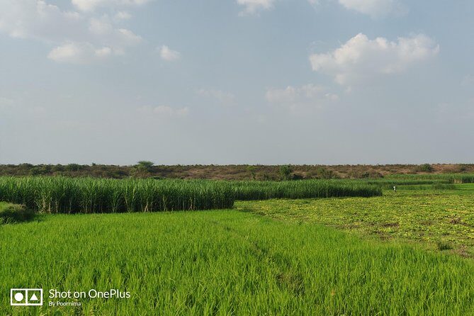 Srirangapatna & Hosaholalu - Of Forts, Temples And Farms - A Practical Look at the Tour Experience