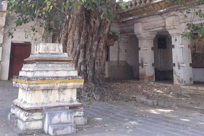 Srirangapatna & Mysore - Authentic Experiences and Traveler Feedback
